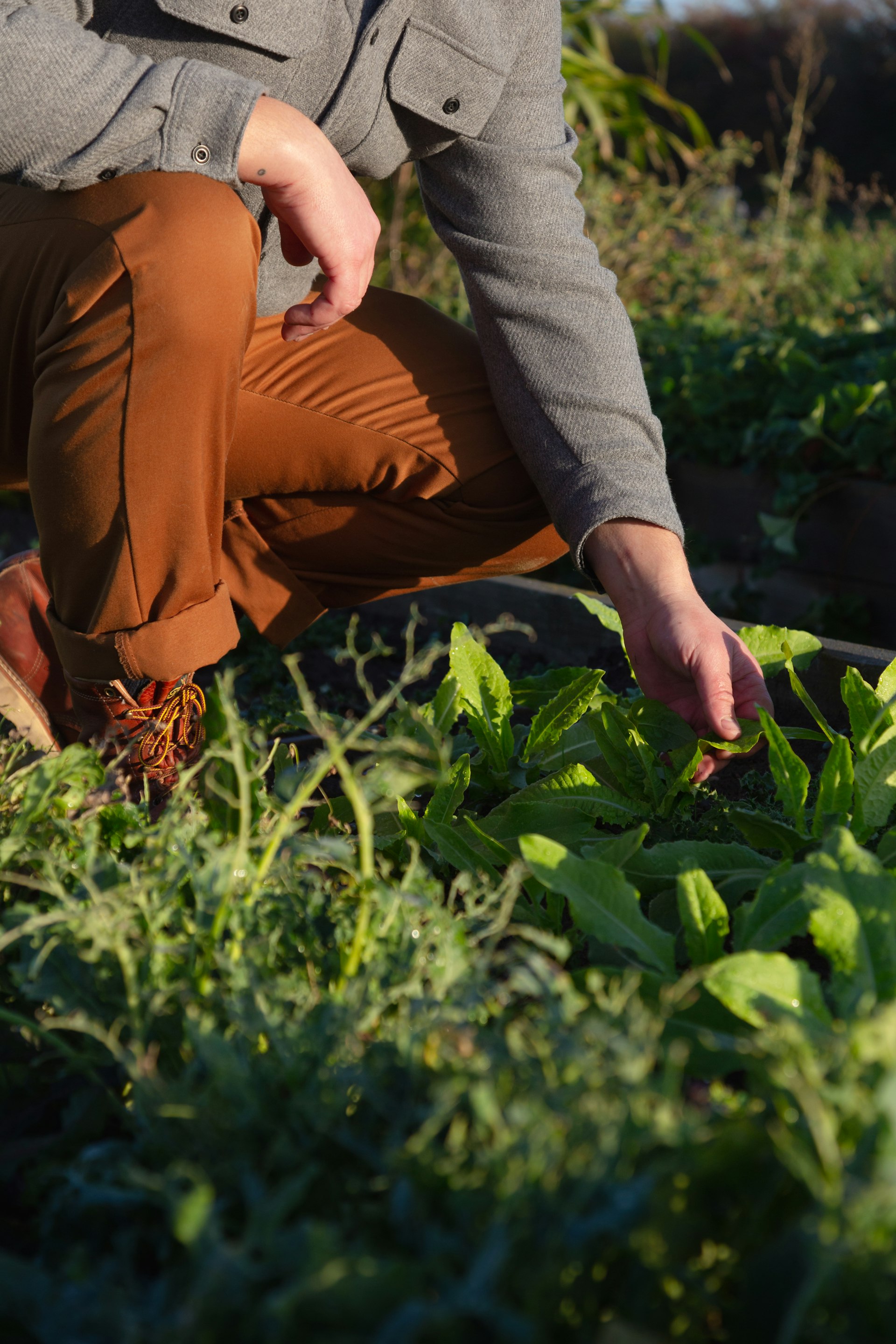 History - Restaurant Jericho