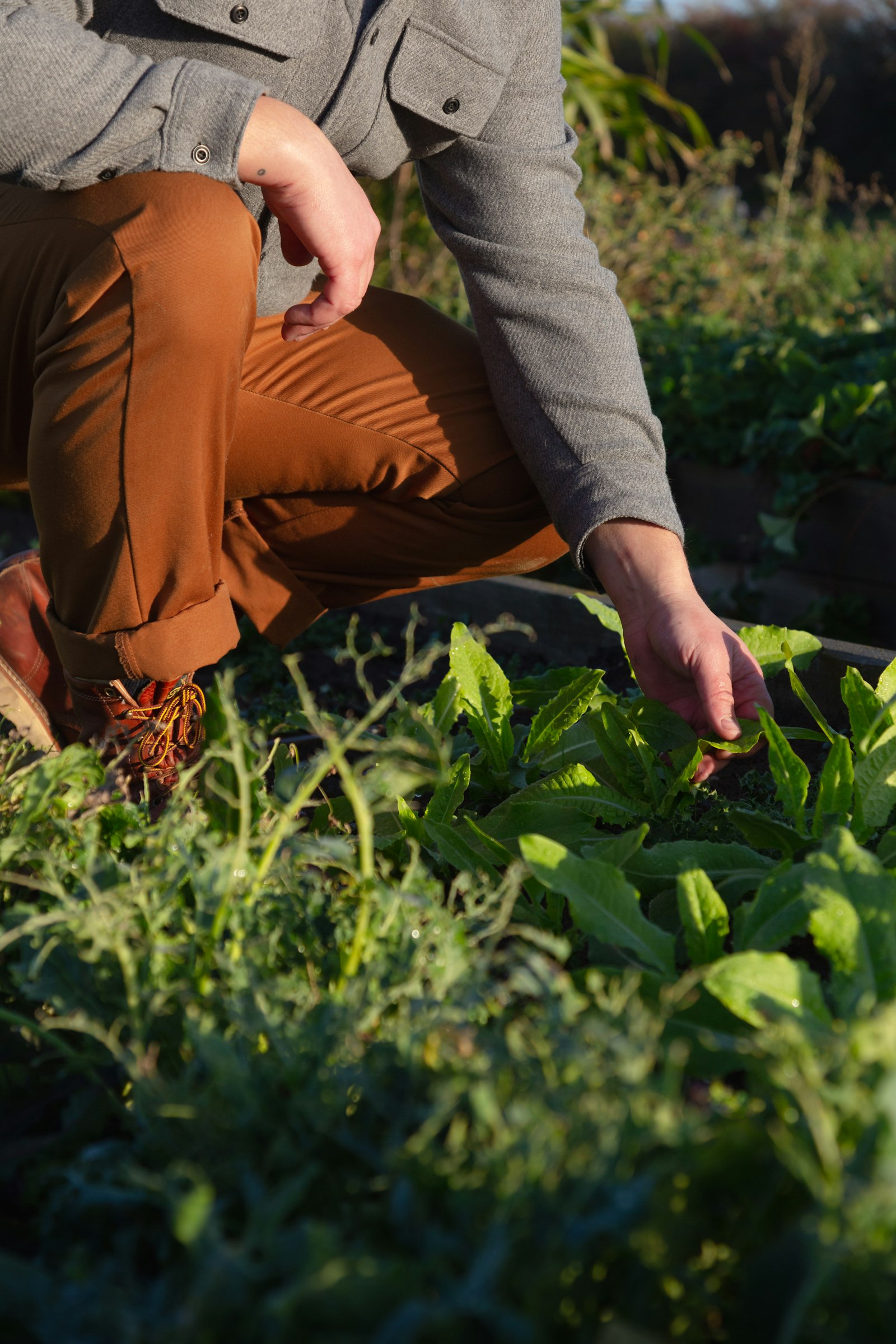 History - Restaurant Jericho