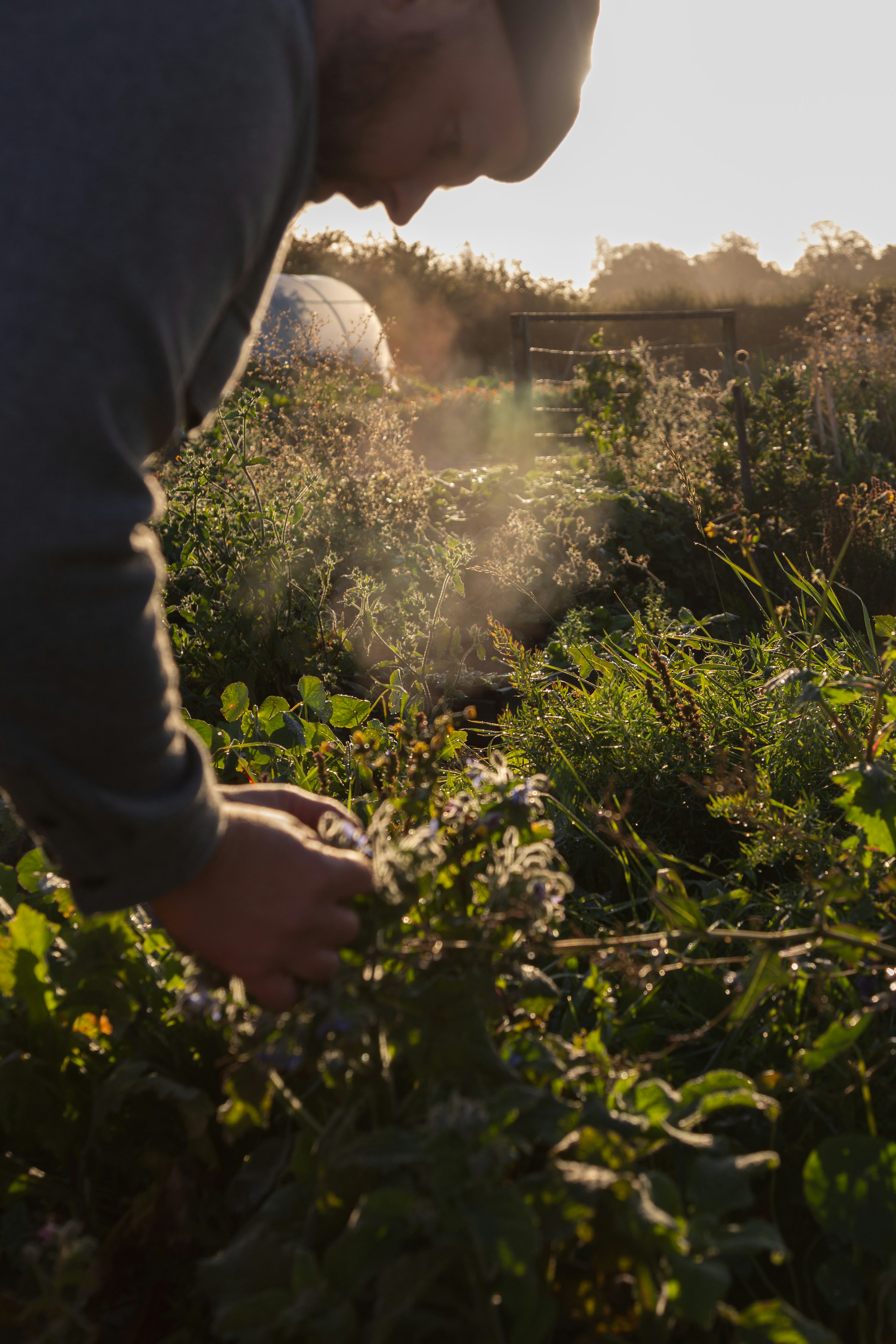 Michelin Green Star restaurant in the Vale of Belvoir - Restaurant Jericho